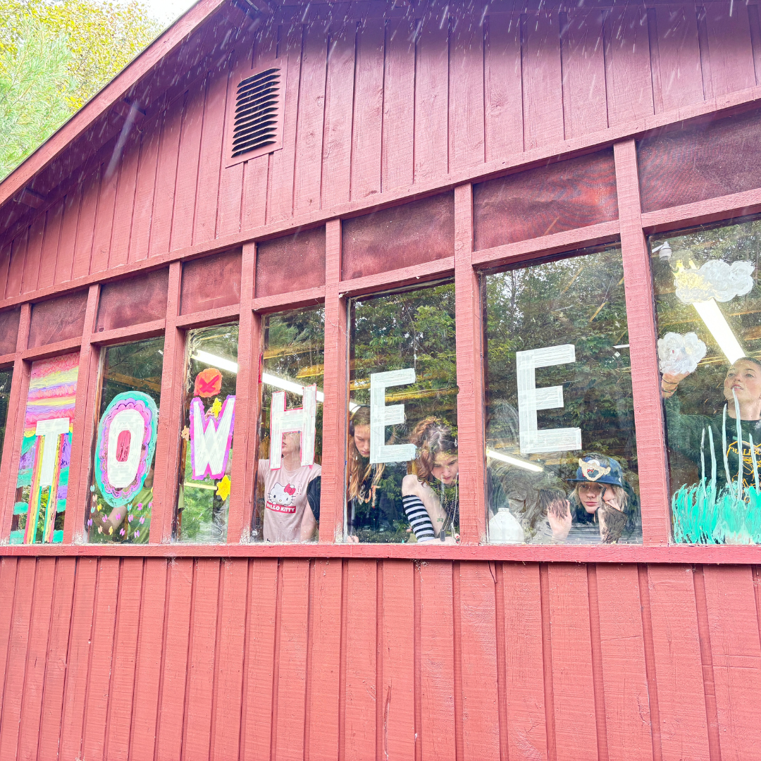 Camp Towhee: Assist-A-Camper - Child Development Institute